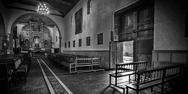 Mike Belshaw Photography